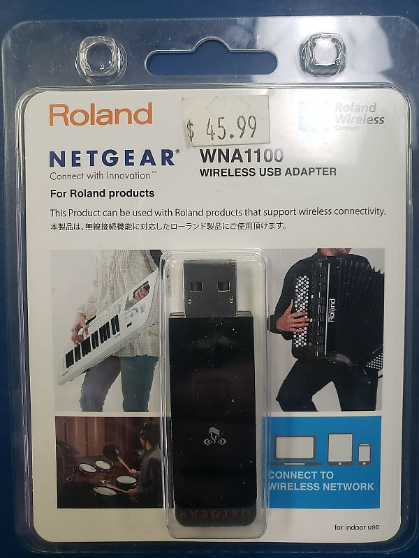 Roland WNA1100 | Reverb