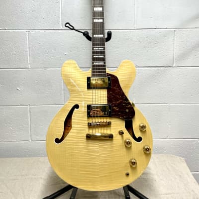 Alden AD Western Star Semi Acoustic Guitar Green Sparkle Jazz | Reverb