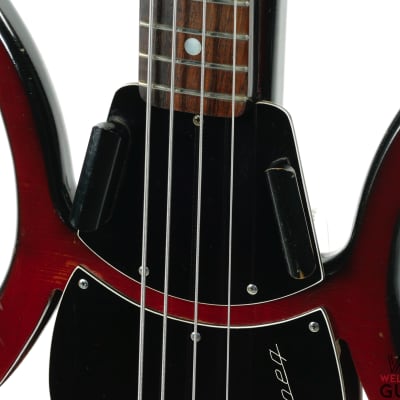 1960s Ampeg Devil Bass ASB-1 | Reverb