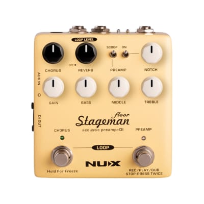 Fishman Model G Acoustic Pre-amp | Reverb