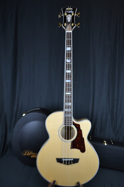 D'Angelico DAASBG-700 Acoustic Electric Bass, Fishman | Reverb