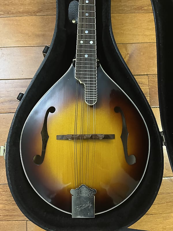 Kentucky A style Mandolin 350S | Reverb