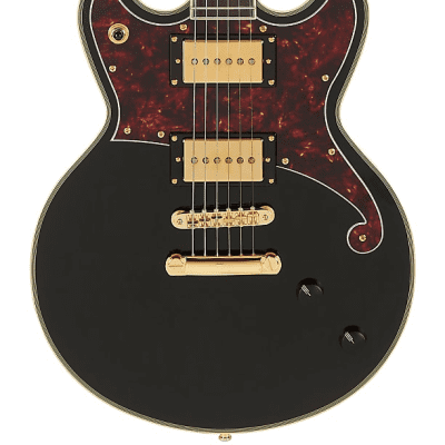 D'Angelico Deluxe Eric Krasno Signature Brighton Solid Black | Reverb