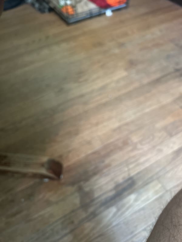 Vintage Milestone 80's fiberglass snare drum 6.5x14 | Reverb