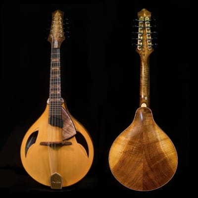 Wilkie 10-String Mandolin | Reverb