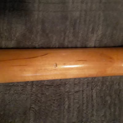 Schecter - Raider - 2006 - Rare - Pirate and Bone Inlay Neck | Reverb