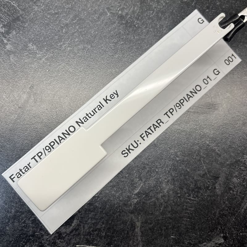 Fatar Replacement G Key (TP/9 Keybeds) for Nord | Reverb