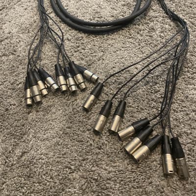 Pro Co Snake Acculink 10 | Reverb