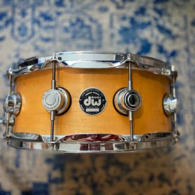 DW Collectors 5.5”x14” Maple Snare Drum 2001 - pre collectors | Reverb