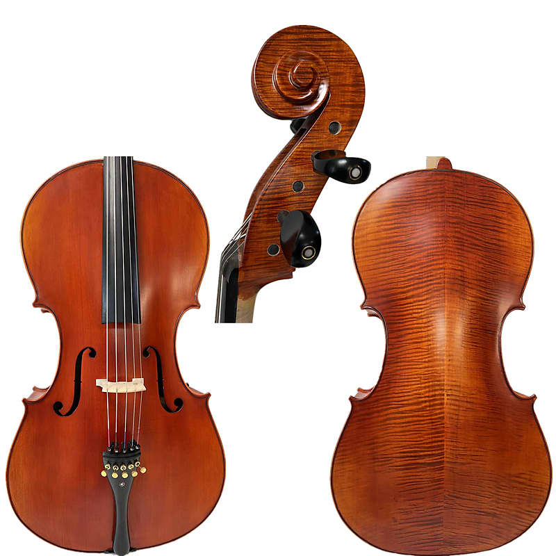 Rare Professional song maestro 5 Strings Cello 4/4, | Reverb