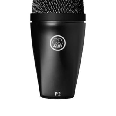 AKG P2 High-Performance Dynamic Bass Microphone | Reverb