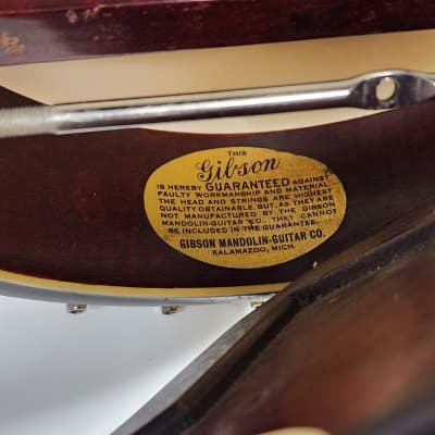 Gibson TB-4 Snakehead Trap Door Tenor Banjo 1922 - Natural | Reverb