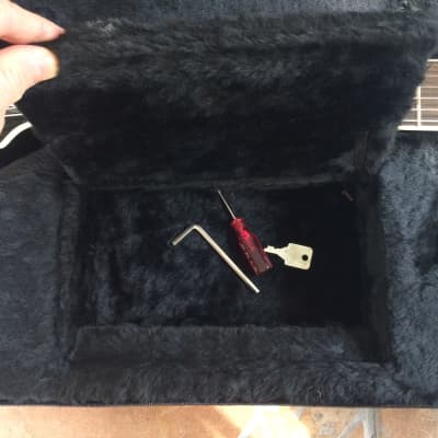 Minarik Lotus Studio Xtreme Cracked Mirror Ball Tone Tail | Reverb