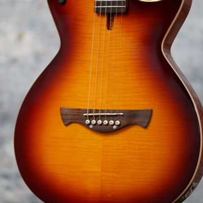 Tagima Modena Steel 2023 | Reverb Canada