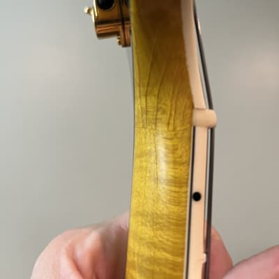 2008 J Triggs Archtop in Vintage Yellow w/OHSC! | Reverb