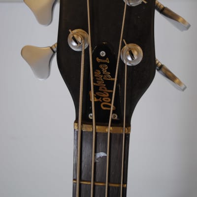 Warwick Dolphin Pro 1 | Reverb