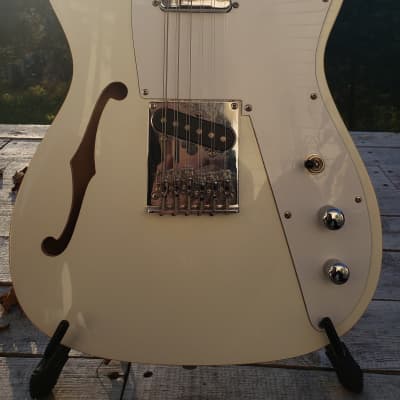 Telecaster Thinline 12 String Electric | Reverb