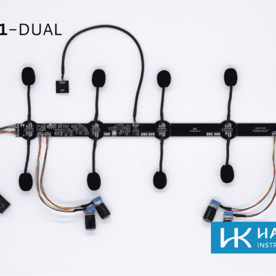 Harmonik AC1001 DUAL Accordion Amplification System | Reverb