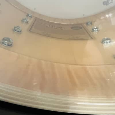 DW Collector's SSC Maple Exotic 8x14" (Blue Anodized to Black | Reverb