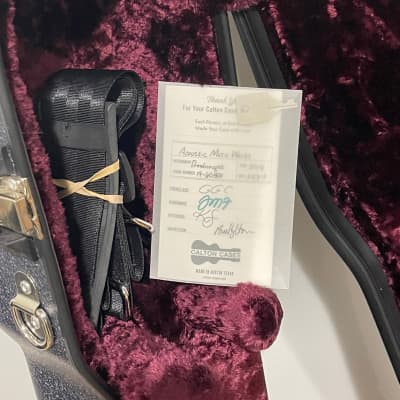 Calton Cases Dreadnaught 2019 - Sparkle Silver with Burgundy | Reverb