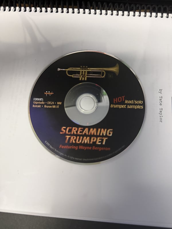 Realitone Screaming Trumpet 2000’s - Black | Reverb