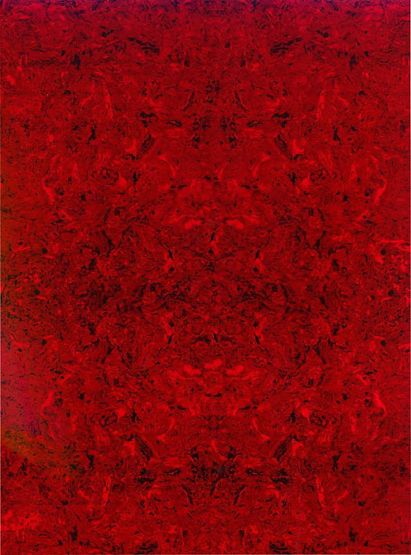 ABS pickguard, tortoise shell finish | Reverb