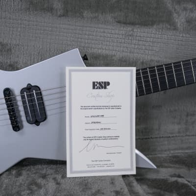 ESP Original Series EX Custom One Off Metallic Silver 2024 | Reverb