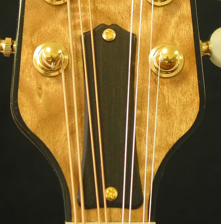 Ebony Mandolin Truss Rod Covers-Plain or Customized | Reverb