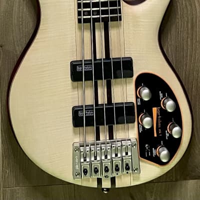 Cort Artisan Series A6 6-String Electric Bass, Open Pore | Reverb