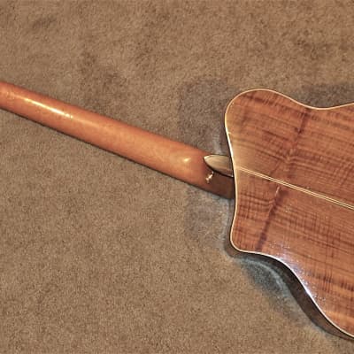 Harry Fleishman 'Dragonfly'. 1995 One of a Kind Acoustic | Reverb