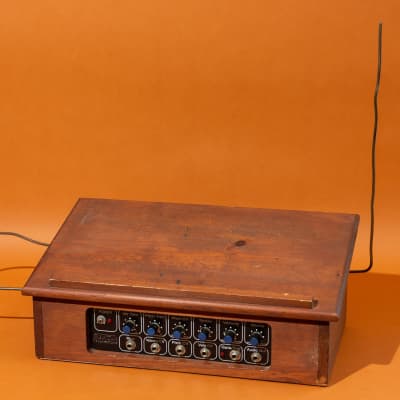 Paia Theremax built kit late 1990s - Wood | Reverb