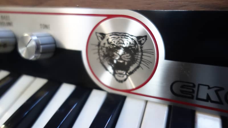 Eko TIGER MATTE DL ITALY ANALOG ORGAN | Reverb España