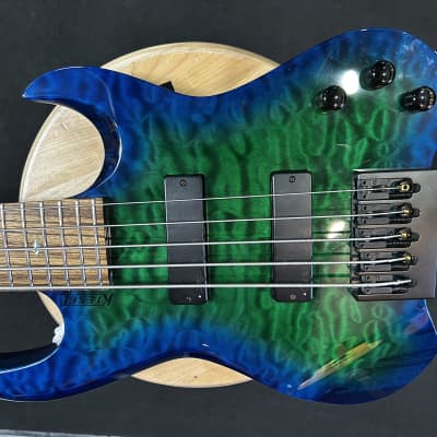 Kiesel Custom Headless 5 string Elec.Bass | Reverb