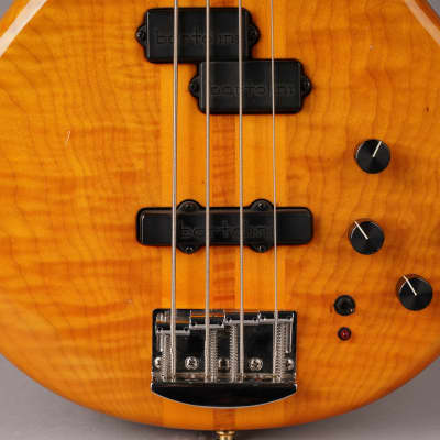 Pedulla Buzz Fretless Bass - 1986 - Amber w/HSC | Reverb UK