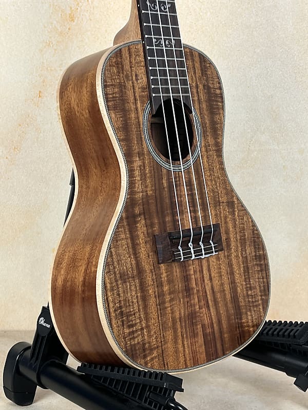 Kala KA-SA-C Acacia Concert Ukulele All Solid Classic Satin | Reverb