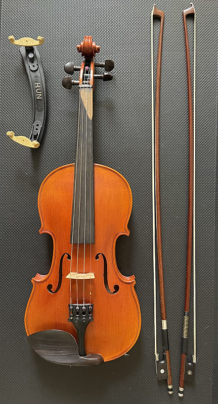Vivace VV-550 4/4 violin with 2 bows and soft case | Reverb