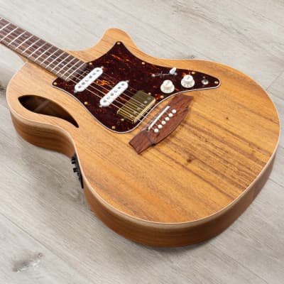 Cole Clark TL2EC-BLBL-HH True Hybrid Thinline Grand | Reverb