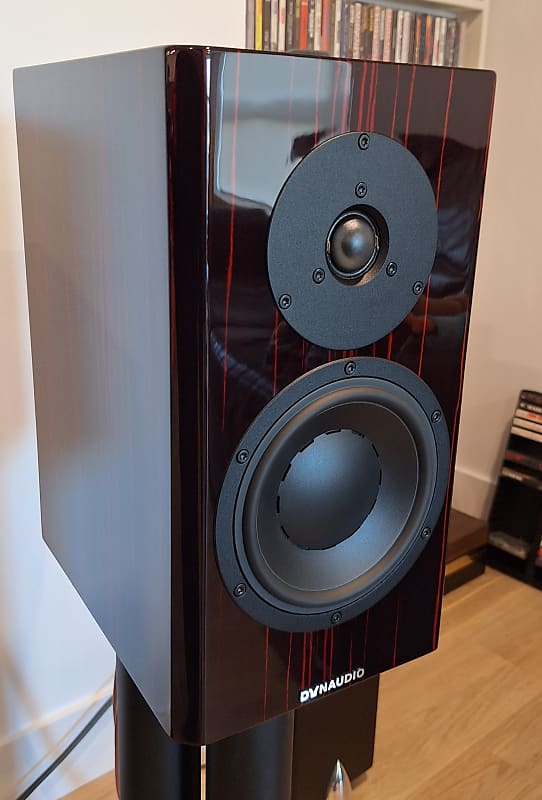 Dynaudio Special 40 Forty 2023 - Black Vine | Reverb