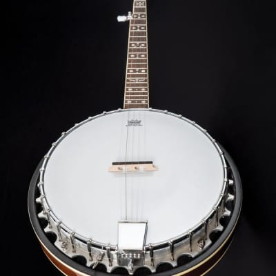 Oscar Schmidt OB5 5-String Electric Banjo | Reverb