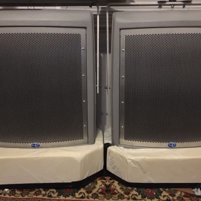 Danley OS80 pair | Reverb