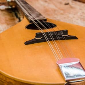 Brian Lofthouse Irish Handmade Solid Woods Mandolin with hard | Reverb