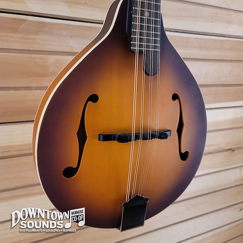 Recording King Ram-3-TS Mandolin with Bag - Sunburst | Reverb