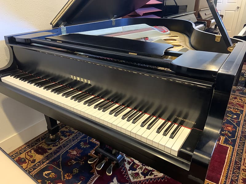 Yamaha C3 Conservatory Grand | Reverb