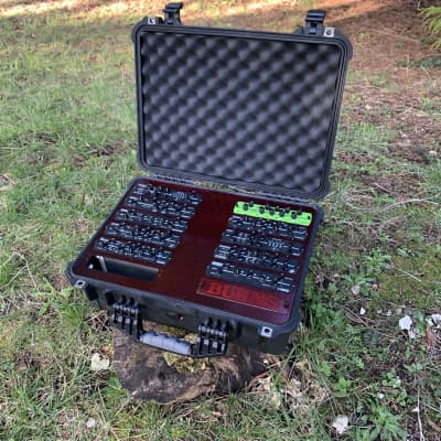 Burns Omega Model 12 Slot Case, Cosmic Midnight Red, for | Reverb