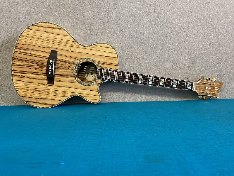 ESP LTD Xtone EW-Z Zebra Acoustic Electric Guitar - Ready To | Reverb