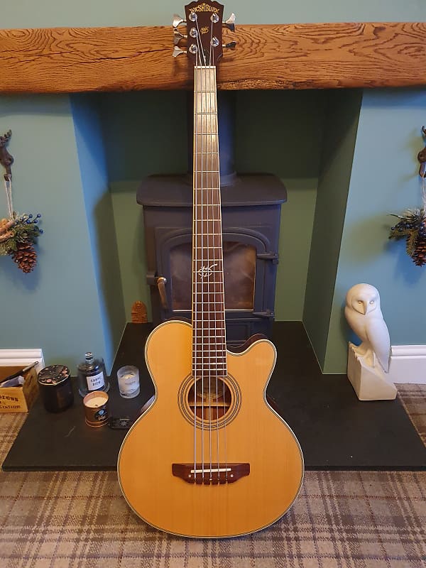 Washburn AB35 35" scale length 5 string electro acoustic | Reverb UK