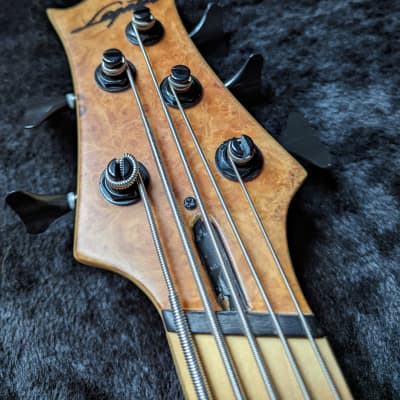 Legator Helio 300 PRO 5 String Bass | Reverb
