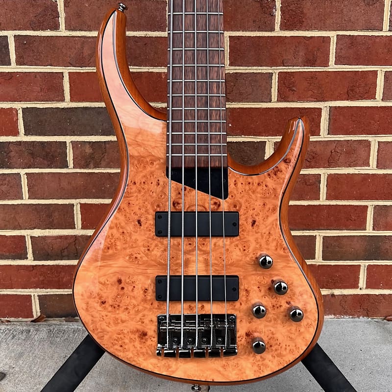 MTD Kingston Z 5-String, Natural Gloss, Maple Burl Top, | Reverb
