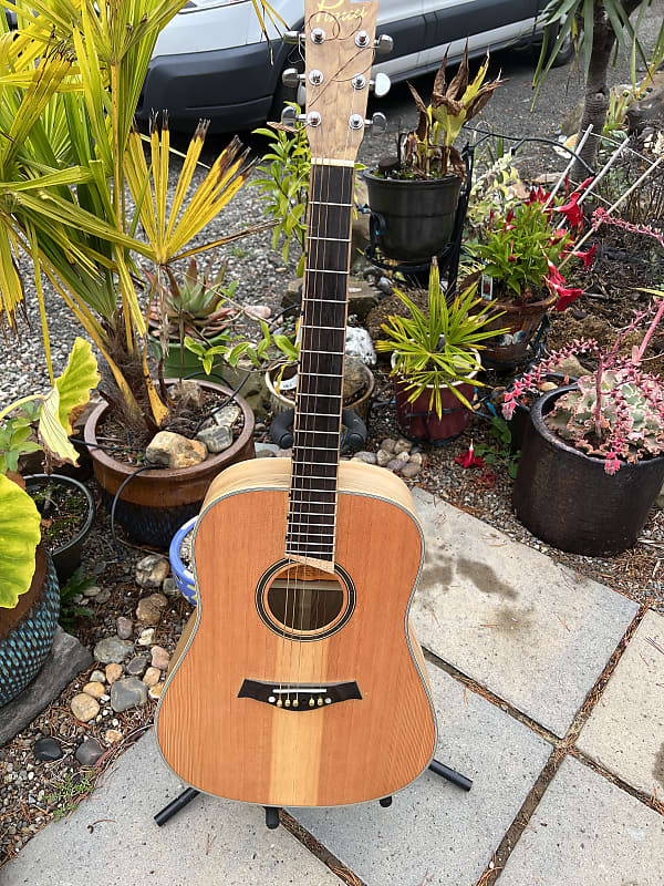 Pizzecci Dread 2007 - Satin | Reverb