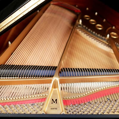 2021 Steinway SPIRIO Player, Model M - 5'7" - Mint Condition | Reverb